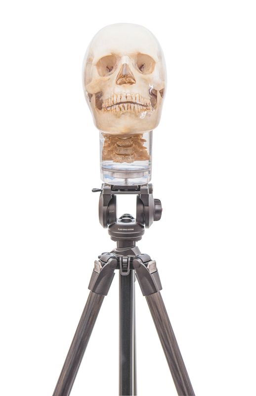 Trepied pentru cap fantomă cu raze X – ANATOMIKA
